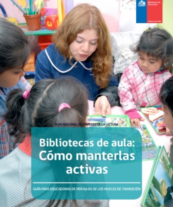 Bibliotecas de aula: cómo mantenerlas activa | educarchile